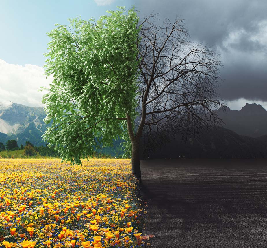 ChatGPT: A Blessing or a Curse? Discover 47 ways to use it